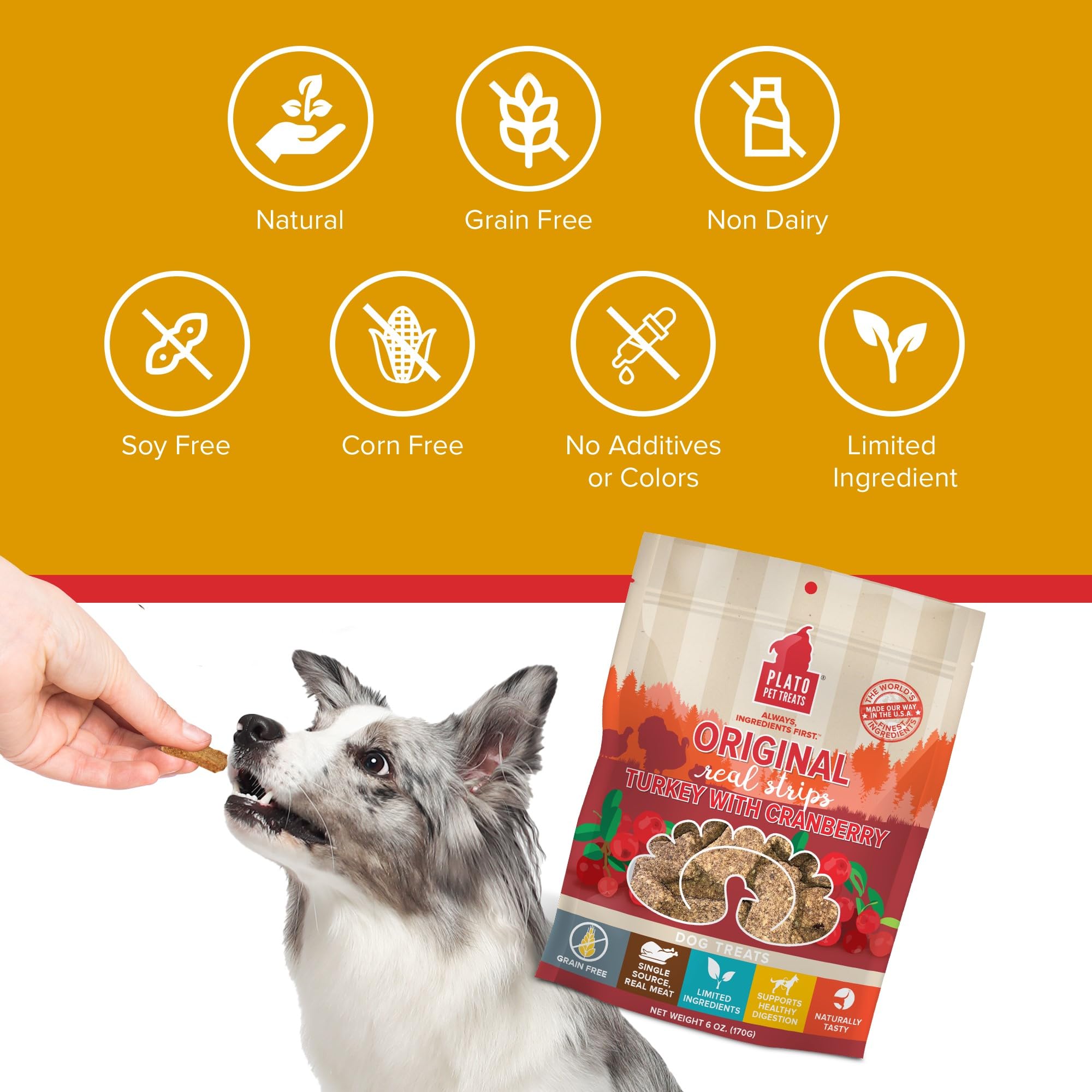PLATO Turkey Real Strips Natural Dog Treats - Real Meat - Air Dried - Made in the USA - Turkey & Cranberry, 3 ounces