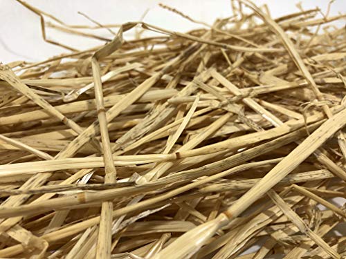 AA Plus Shop 100% Natural Wheat Straw Grass, Animal Bedding and Farm Wheat Straw (4LB)