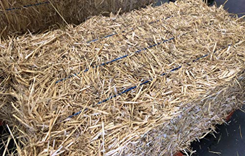AA Plus Shop 100% Natural Wheat Straw Grass, Animal Bedding and Farm Wheat Straw (4LB)