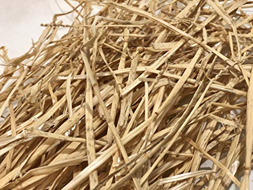 AA Plus Shop 100% Natural Wheat Straw Grass, Animal Bedding and Farm Wheat Straw (4LB)