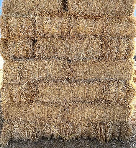 AA Plus Shop 100% Natural Wheat Straw Grass, Animal Bedding and Farm Wheat Straw (4LB)