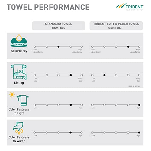 TRIDENT Soft and Plush, 100% Cotton 4 Piece Hand Towels for Bathroom, Highly Absorbent, Hotel Luxury, Super Soft, Salon Towels, Soft Comfort, 500 GSM (Crimson Red)