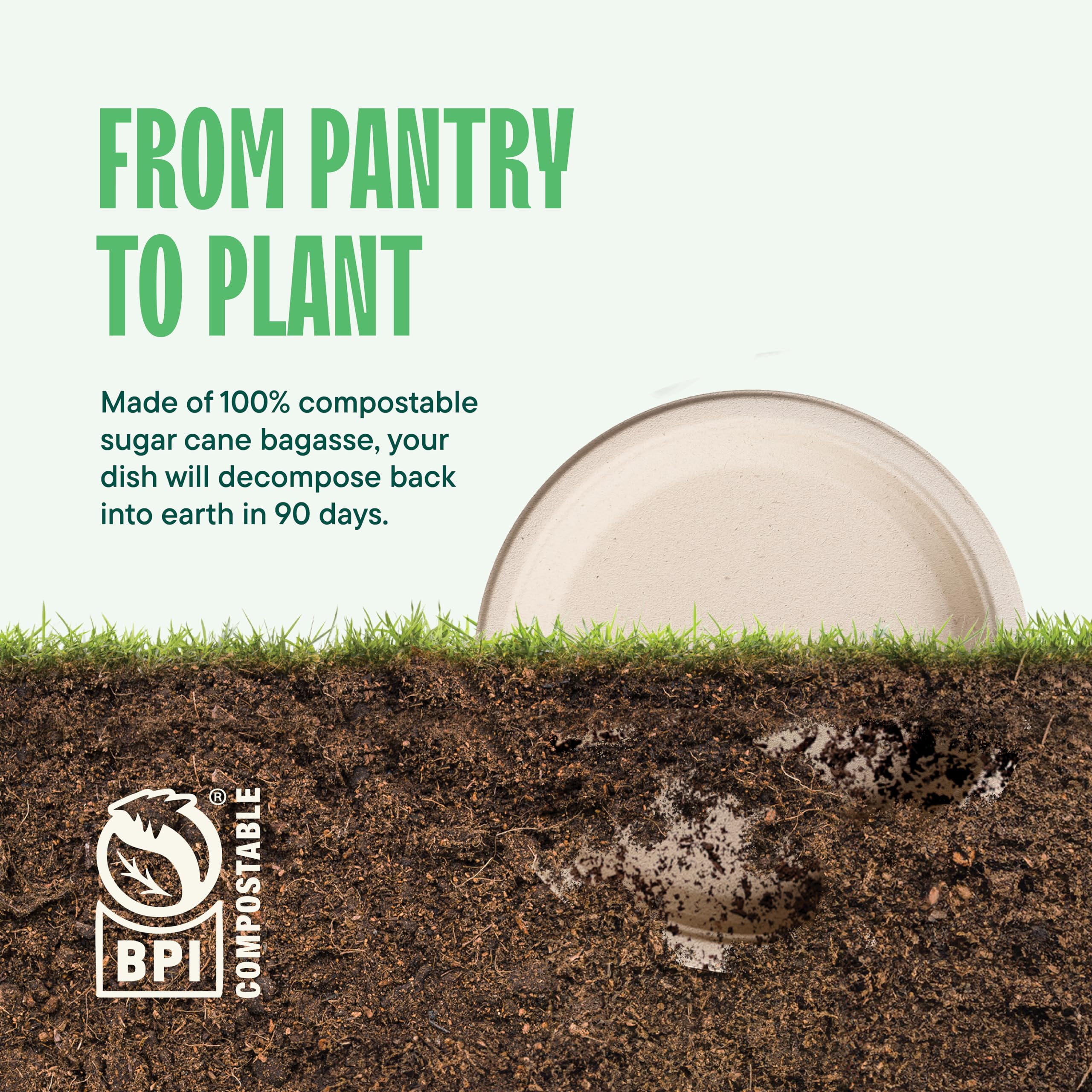 Paper Plates, 100% Compostable Heavy Duty Disposable 10 Inch Plate - [125-Pack] - {PFAS-Free} - {BPI Certified} Eco-Friendly, Biodegradable Bagasse