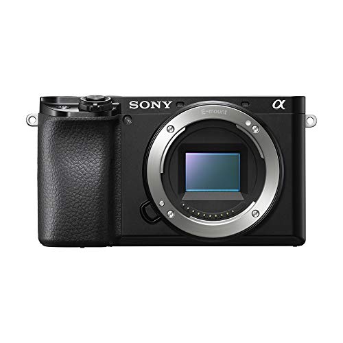 Sony a6100 Mirrorless Camera 4K APS-C ILCE-6100YB with 2 Lens Kit 16-50mm + 55-210mm and Deco Gear Case + Extra Battery + Flash + Wide Angle & Telephoto Lens + Filter Kit + 64GB Accessories Bundle