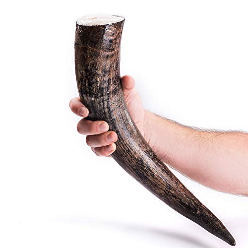 Norse Tradesman 20" Authentic Ox-Horn Viking Drinking Horn with Genuine Black Leather Belt Holster | Burlap Gift Sack Included | The Journeyman, Low-Polish, 20-Inch