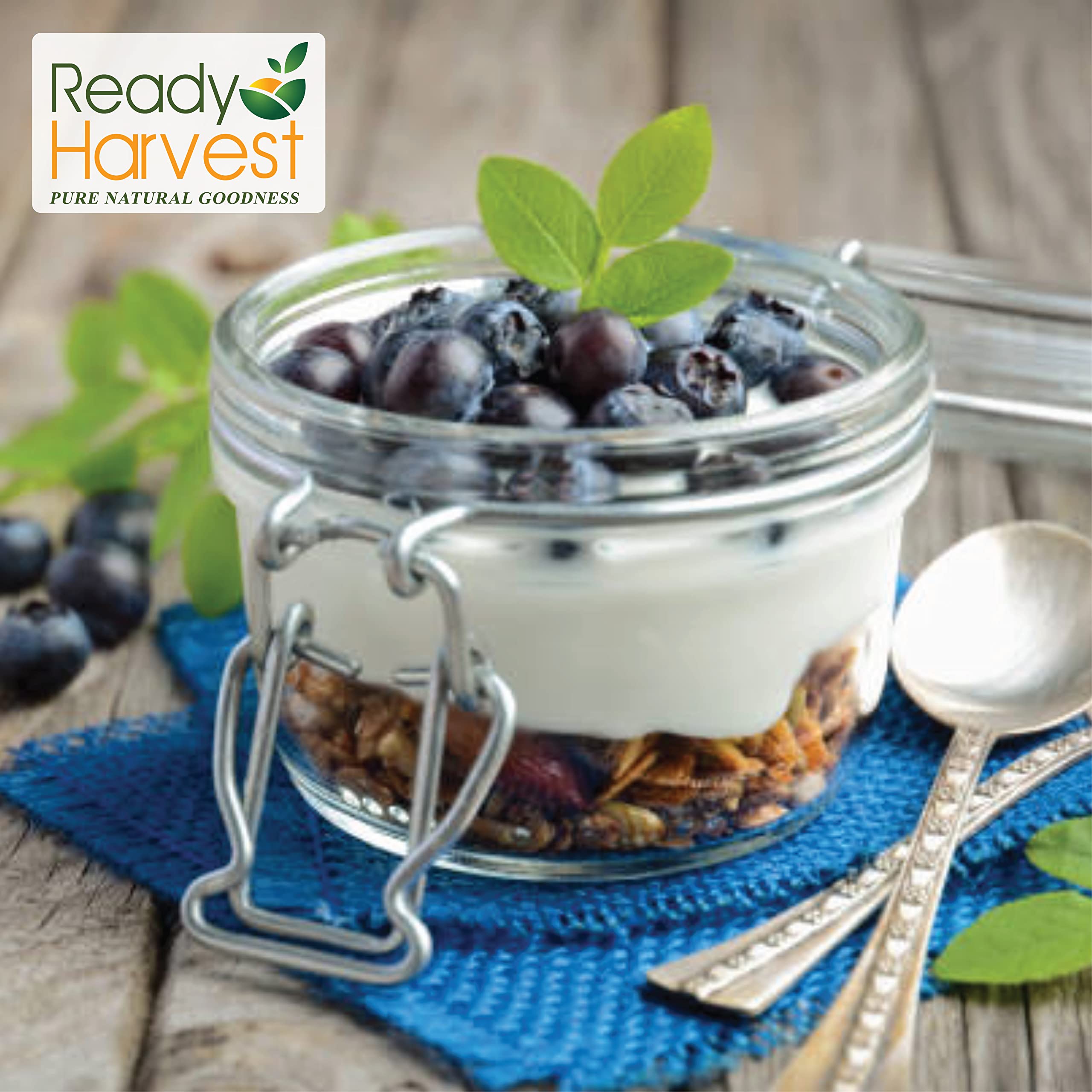 Ready Harvest Freeze-dried Blueberries | Blueberries Freeze-dried Fruit Snacks | Healthy Snacks Trail Mix | Camping food, School Snacks or Emergency Food Supply 30 Years | #10 Can