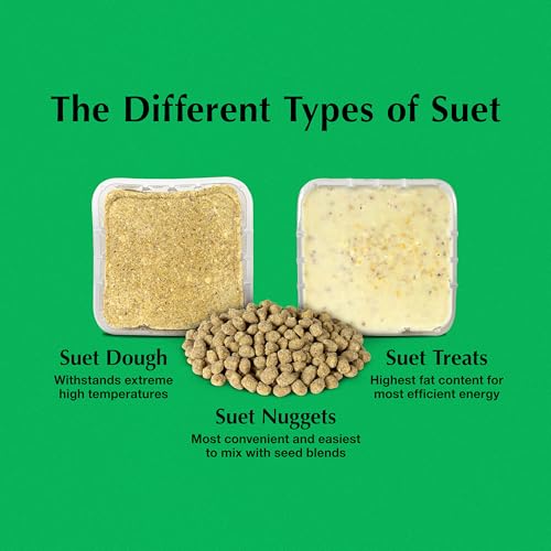 C&S Wild Bird Bluebird Suet Nuggets Mega Box, 8 Pounds
