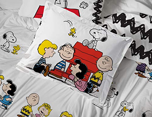 Jay Franco Peanuts Classic Pals 5 Piece Twin Bed Set - Includes Reversible Comforter & Sheet Set - Bedding Features Snoopy & Charlie Brown - Super Soft Fade Resistant Microfiber