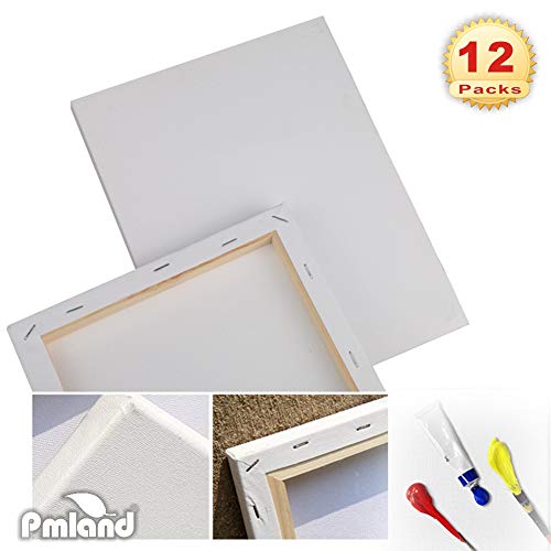 PMLAND Bulk Pack of 12 Stretched Canvas Panels Board for Acrylic or Oil Painting, Artwork, Crafting - 8 x 10 Inch, 5/8 Inch Thick, Individually Wrapped