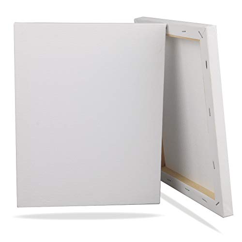 PMLAND Bulk Pack of 12 Stretched Canvas Panels Board for Acrylic or Oil Painting, Artwork, Crafting - 8 x 10 Inch, 5/8 Inch Thick, Individually Wrapped