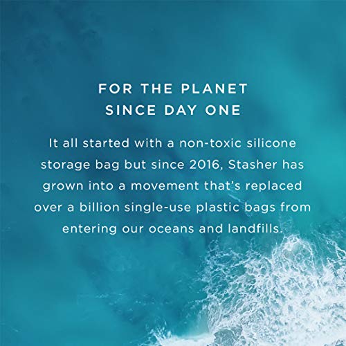 Stasher Platinum Silicone Food Grade Reusable Storage Bag, Sky (Sandwich) | Reduce Single-Use Plastic | Cook, Store, Sous Vide, or Freeze | Leakproof, Dishwasher-Safe, Eco-friendly | 28 Oz