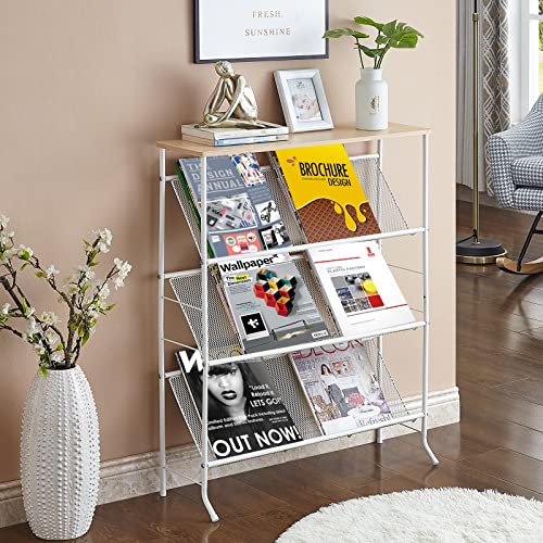 Nevfiro 4-Tier Shoe Rack Storage Organizer, Narrow Shoe Rack Shelves with 3 Metal Mesh for Bedroom Closet, Entryway, Hallway, Wire Grid, Shoe Shelf with Wood Top Board, 10-12 Pairs