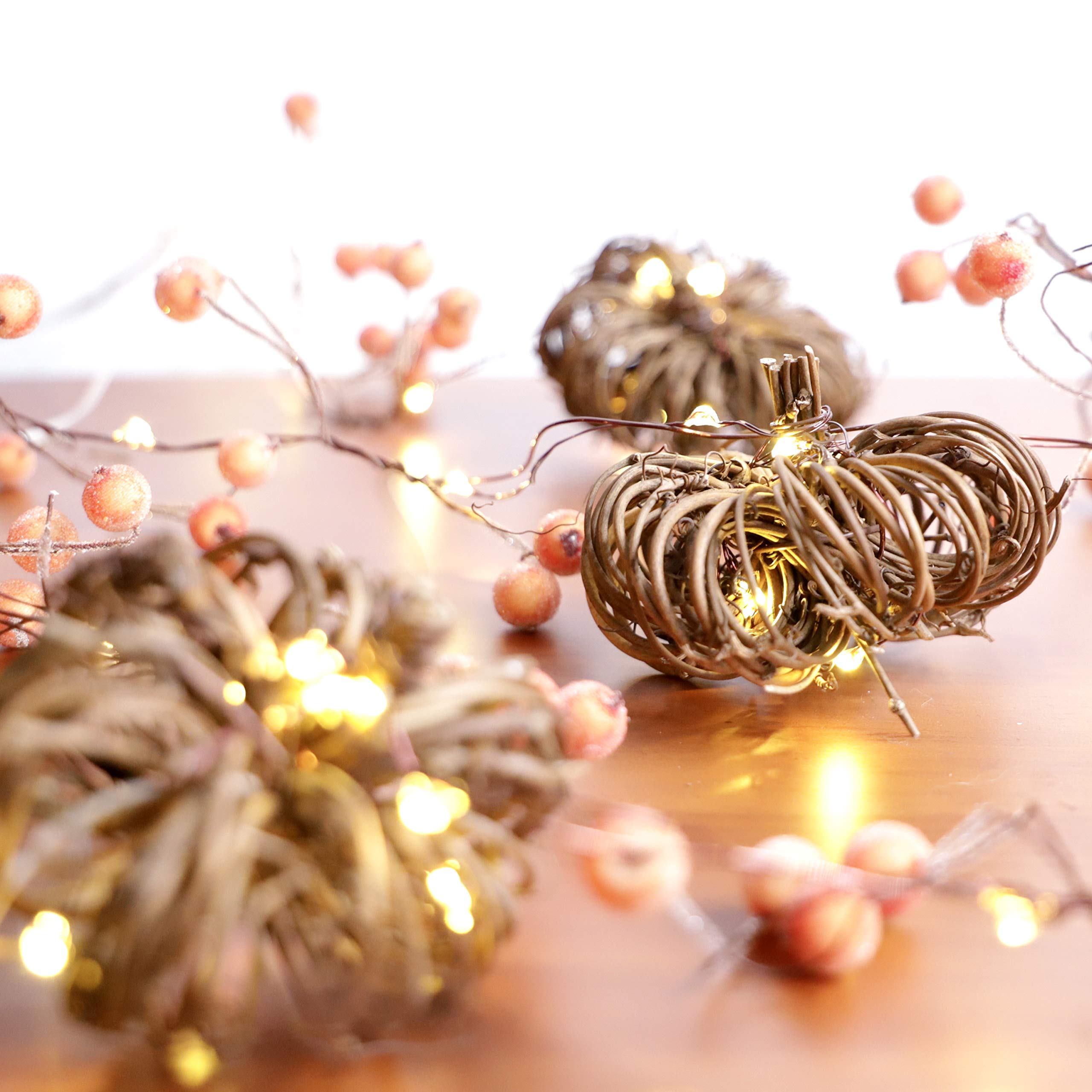 MIYA LIFE Nature Rattan Pumpkin String Lights 10FT 30LEDs - Fall Garland with Lights Battery Operated Wicker Pumpkin Lights - Perfect Autumn Lights Fall Decorations for Home (Rattan Pumpkin 1)