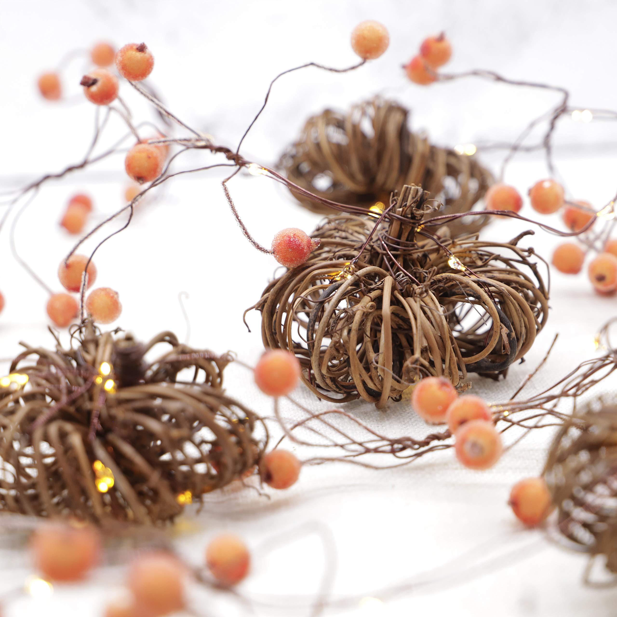 MIYA LIFE Nature Rattan Pumpkin String Lights 10FT 30LEDs - Fall Garland with Lights Battery Operated Wicker Pumpkin Lights - Perfect Autumn Lights Fall Decorations for Home (Rattan Pumpkin 1)