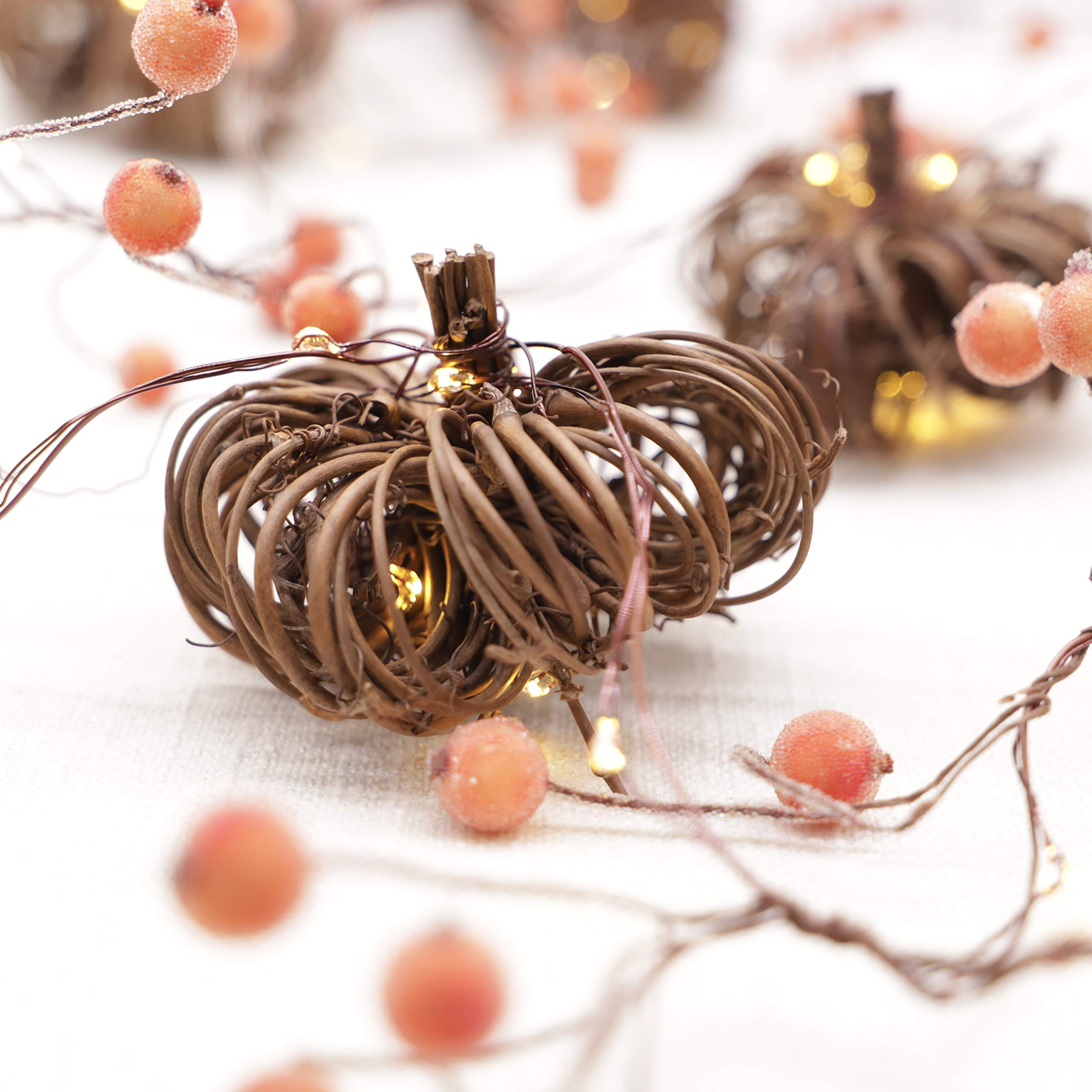 MIYA LIFE Nature Rattan Pumpkin String Lights 10FT 30LEDs - Fall Garland with Lights Battery Operated Wicker Pumpkin Lights - Perfect Autumn Lights Fall Decorations for Home (Rattan Pumpkin 1)