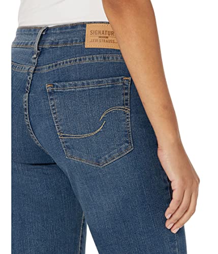 Levi Strauss Signature Gold Women's Modern Bootcut Jeans (Also Available in Plus), Cape Town-waterless, 12