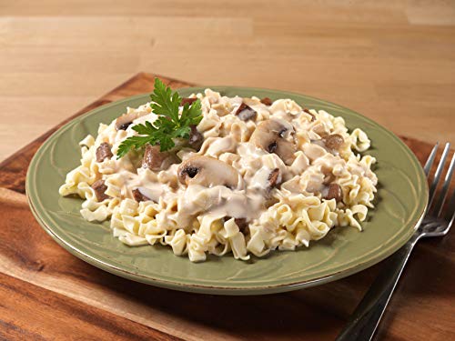 Mountain House Beef Stroganoff #10 Can - 6 Pack