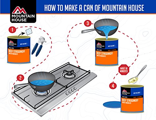 Mountain House Beef Stroganoff #10 Can - 6 Pack