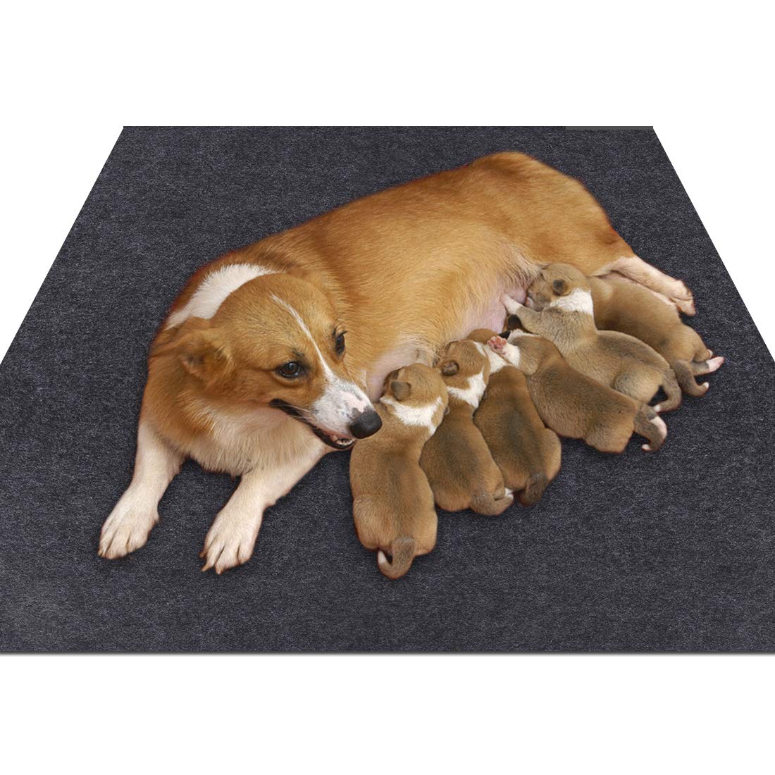Sszhen Whelping Box Liner Mat,Washable and Reusable Puppy Pad,Premium Absorbent Urine pet Mat,Under The Dog Crate Mat,Protect Your Floor, Furniture or Any Other Area from Liquid Leakage (36"Ć72")