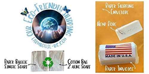 Organic, Vegan-friendly, All Natural, Zero Waste Multi-Purpose Dish Cleaning Soap - Unscented