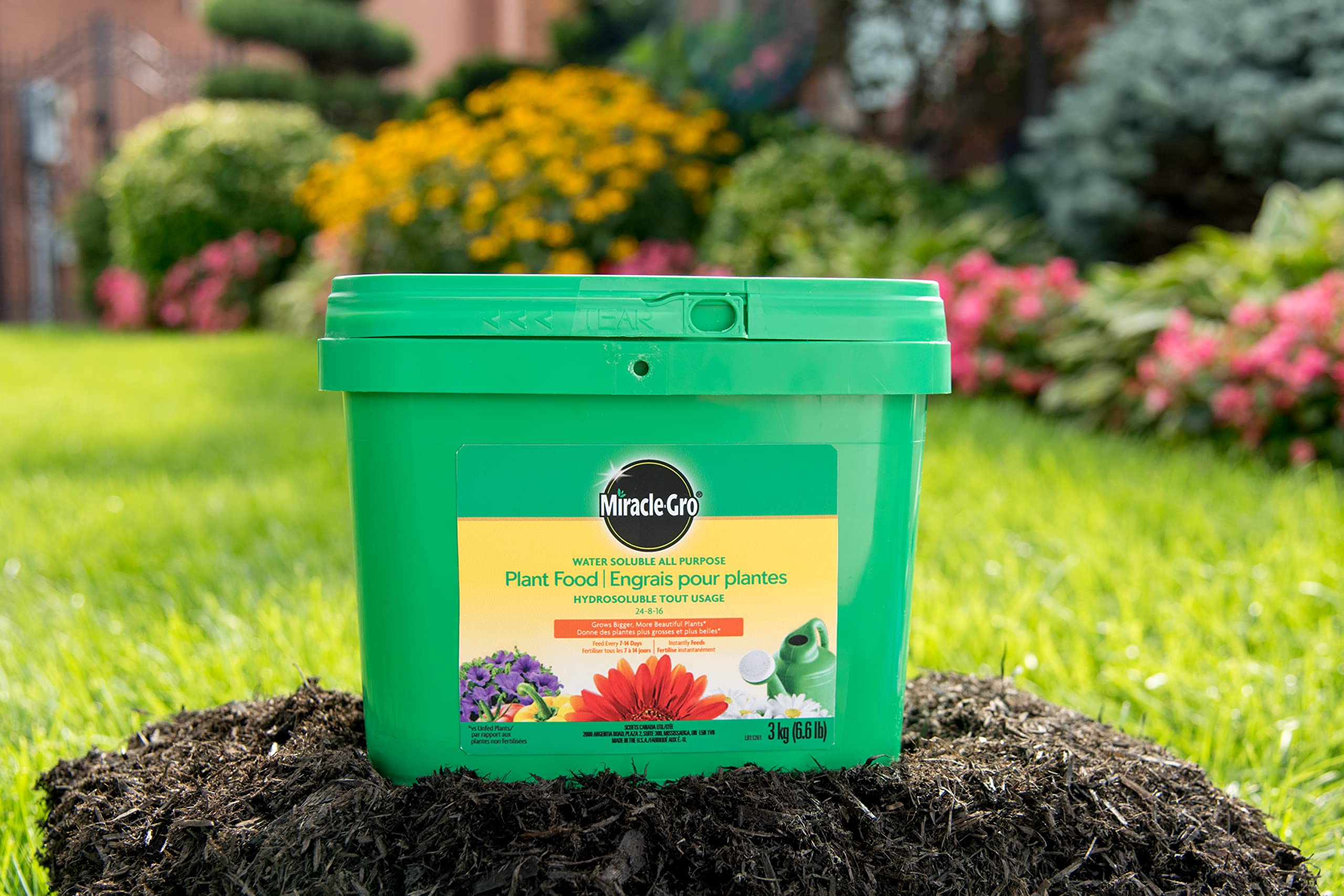 Vogholic Miracle-GRO 2757010 Water Soluble All Purpose Plant Food 24-8-16 3Kg: Amazon.ca: Patio, Lawn & Garden