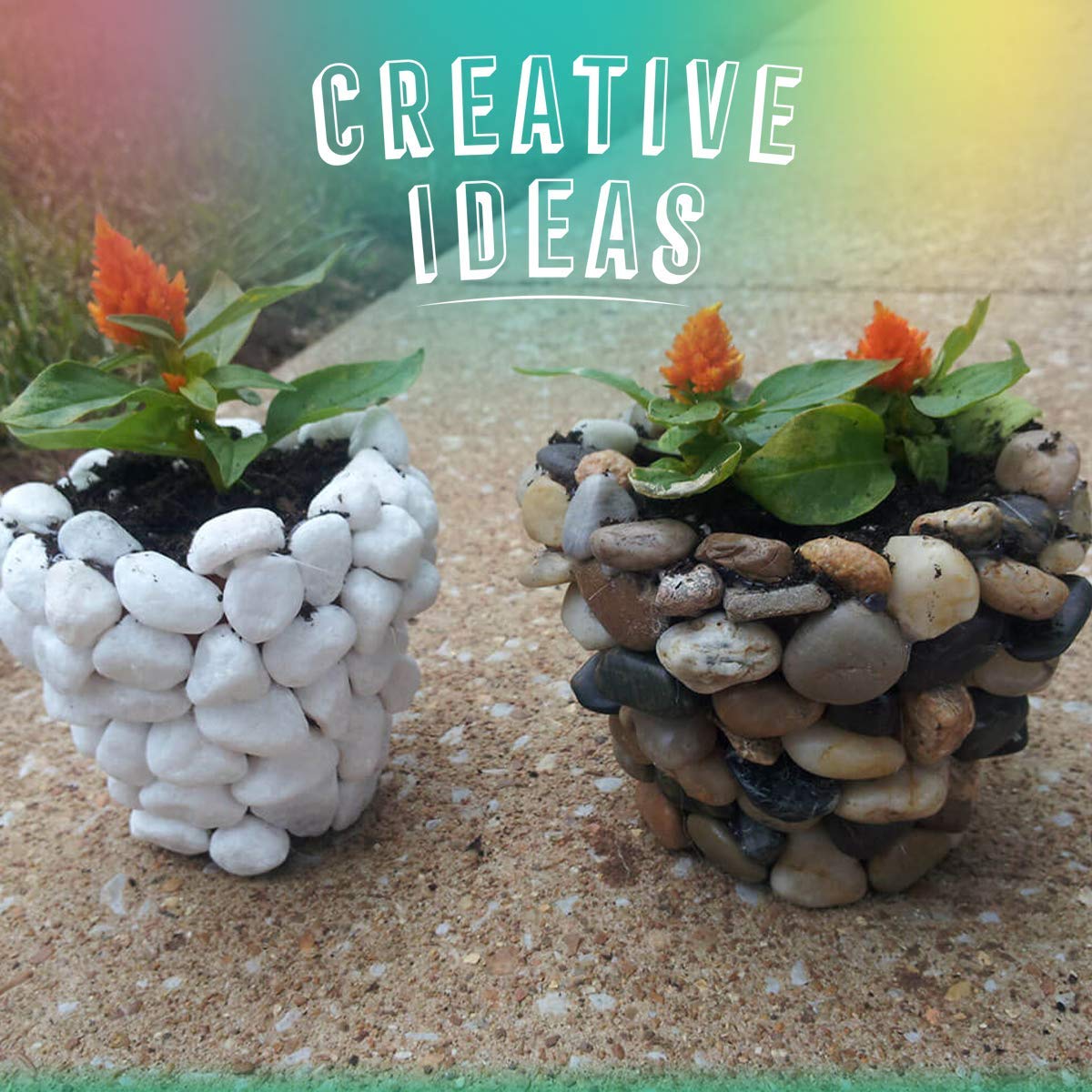 Katzco 2 Pounds Small Decorative River Rock Stones - Natural Polished Mixed Color Stones -Use in Glassware, Like Vases, Aquariums and Terrariums to Enhance The Appearance