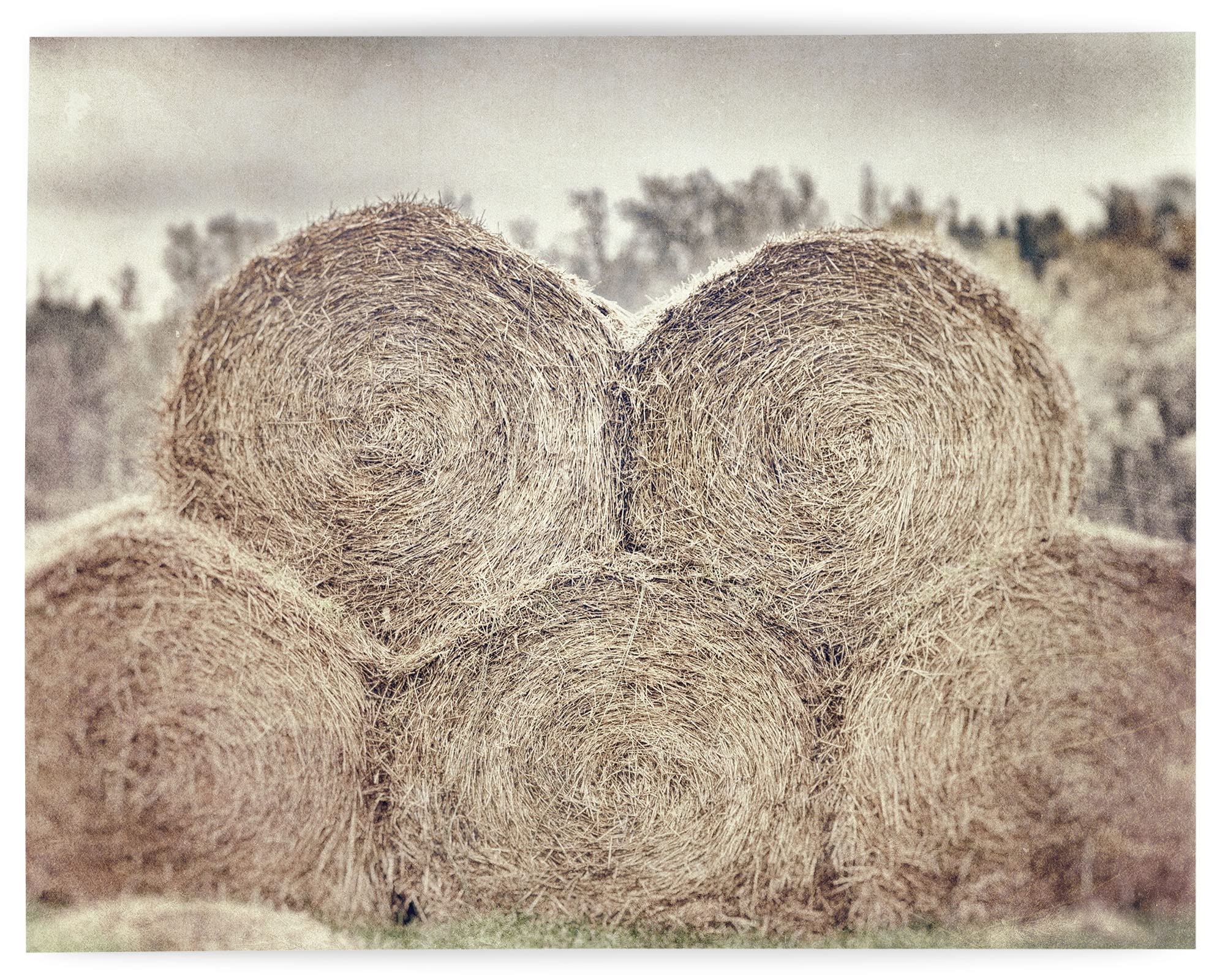 Lisa Russo Fine Art - Farmhouse Wall Decor Hay Bales Photo Print - Not Framed - Neutral Beige, Tan (8x10 Print Only)