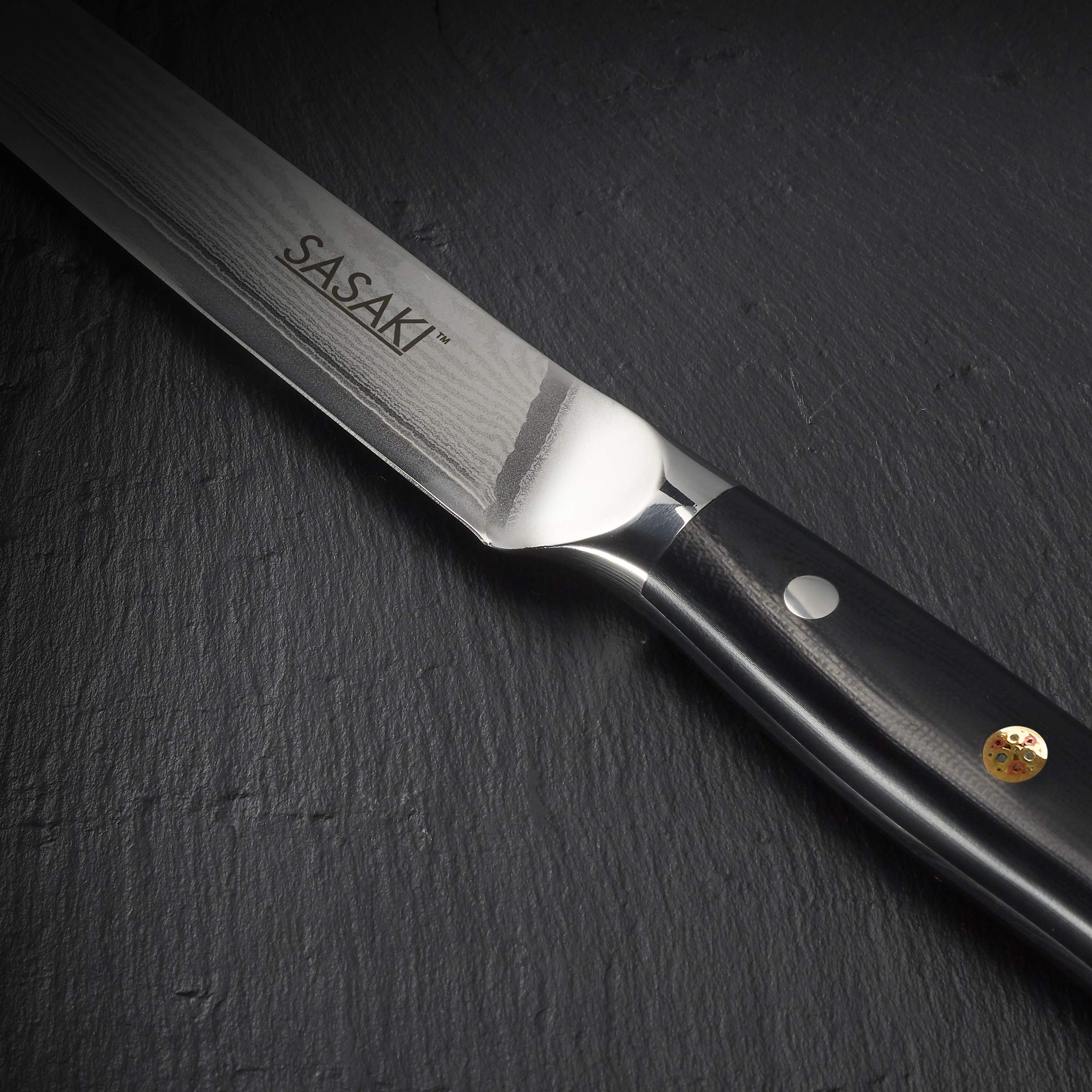 Sasaki Masuta Japanese AUS-10 Stainless Steel Slicing Knife with Locking Sheath, 8-Inch, Black