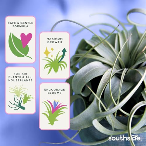 Air Plant Fertilizing Spray by Southside Plants - Fertilizer Mist for Houseplants, Weekly Plant Food - Gentle Mist Formula for Miracle Feed & Grow - 7.3 oz