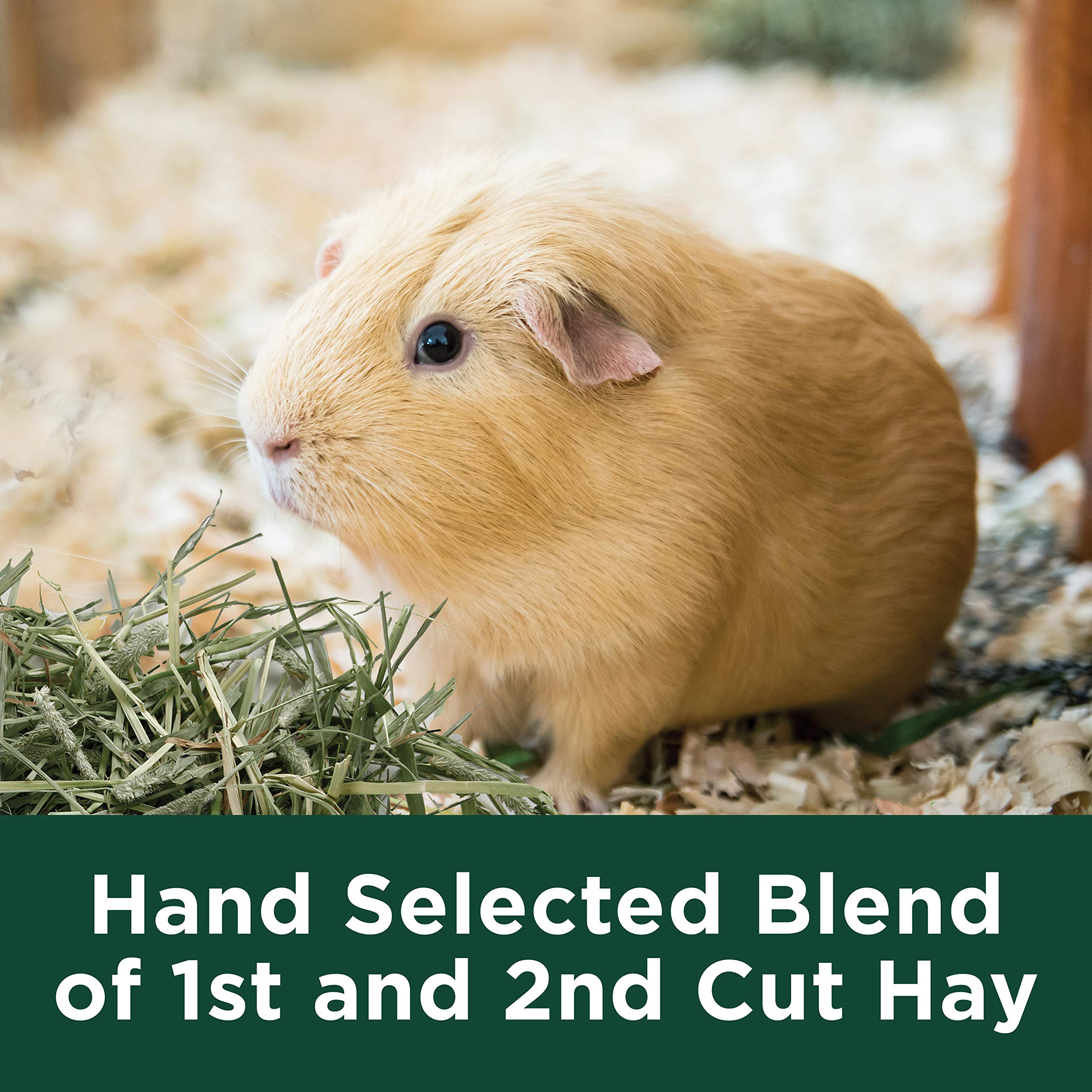 Kaytee Timothy Hay Plus Spearmint/Marigold/Carrot 3 Flavor Variety Pack for Pet Guinea Pigs, Rabbits & Other Small Animals, 60 Ounce (Pack of 1)