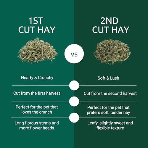 Kaytee 1st Cut Hearty and Crunchy Timothy Hay for Pet Guinea Pigs, Rabbits & Other Small Animals, 6.5 Pound