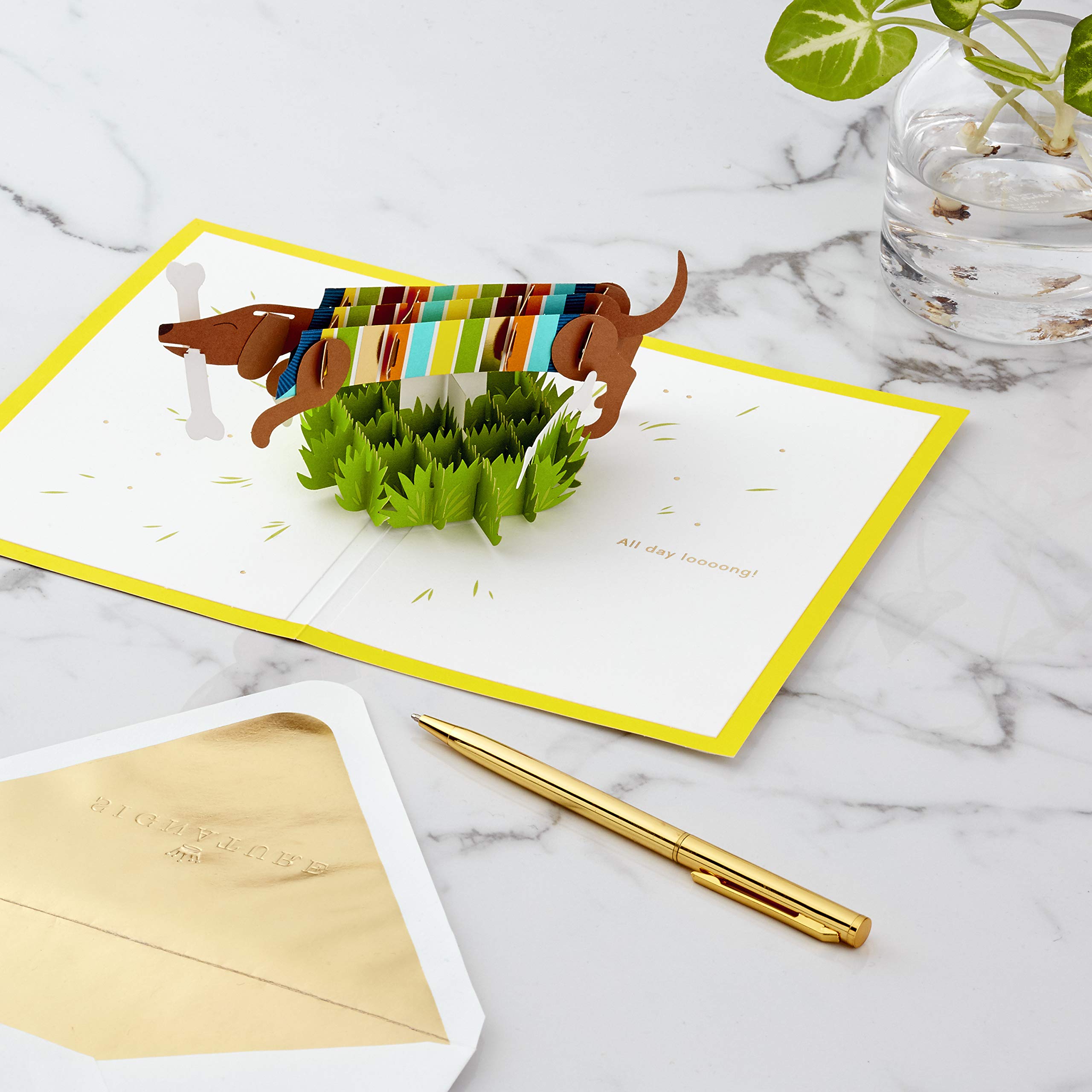Hallmark Signature Paper Wonder Pop Up Birthday Card, Fathers Day Card (Dachshund, Happy All Day Long) (1299RZH1143)
