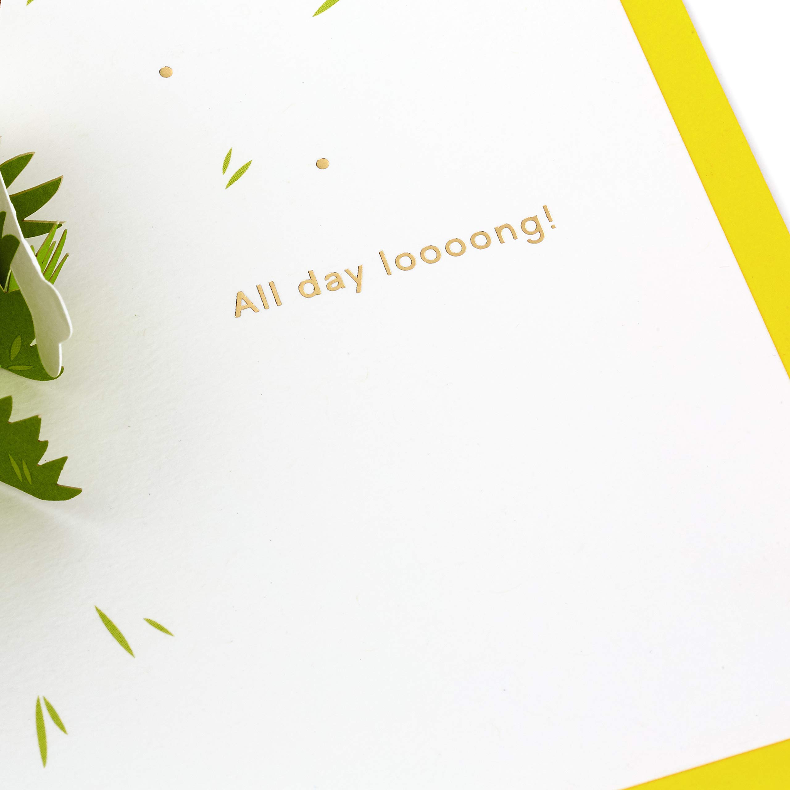 Hallmark Signature Paper Wonder Pop Up Birthday Card, Fathers Day Card (Dachshund, Happy All Day Long) (1299RZH1143)