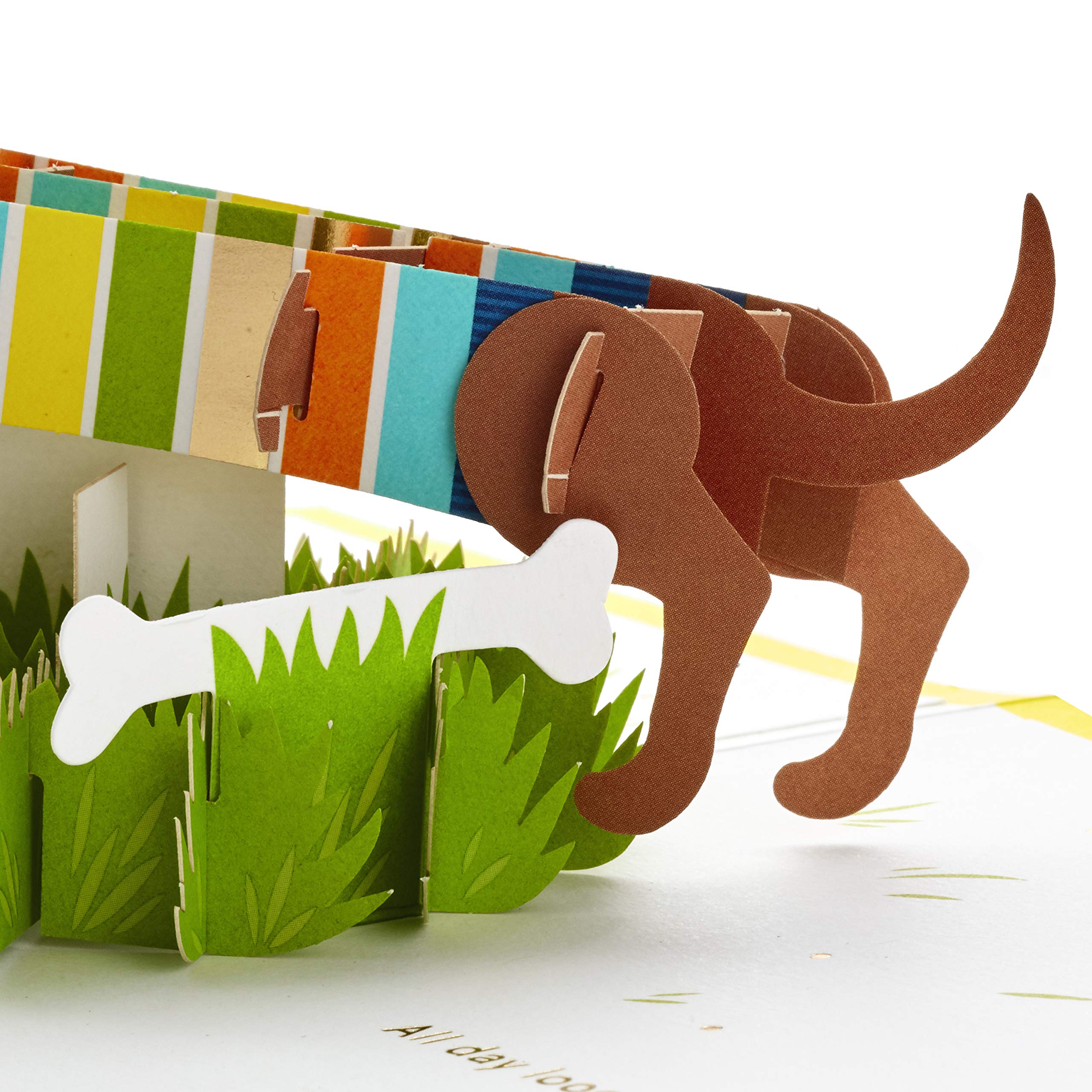 Hallmark Signature Paper Wonder Pop Up Birthday Card, Fathers Day Card (Dachshund, Happy All Day Long) (1299RZH1143)