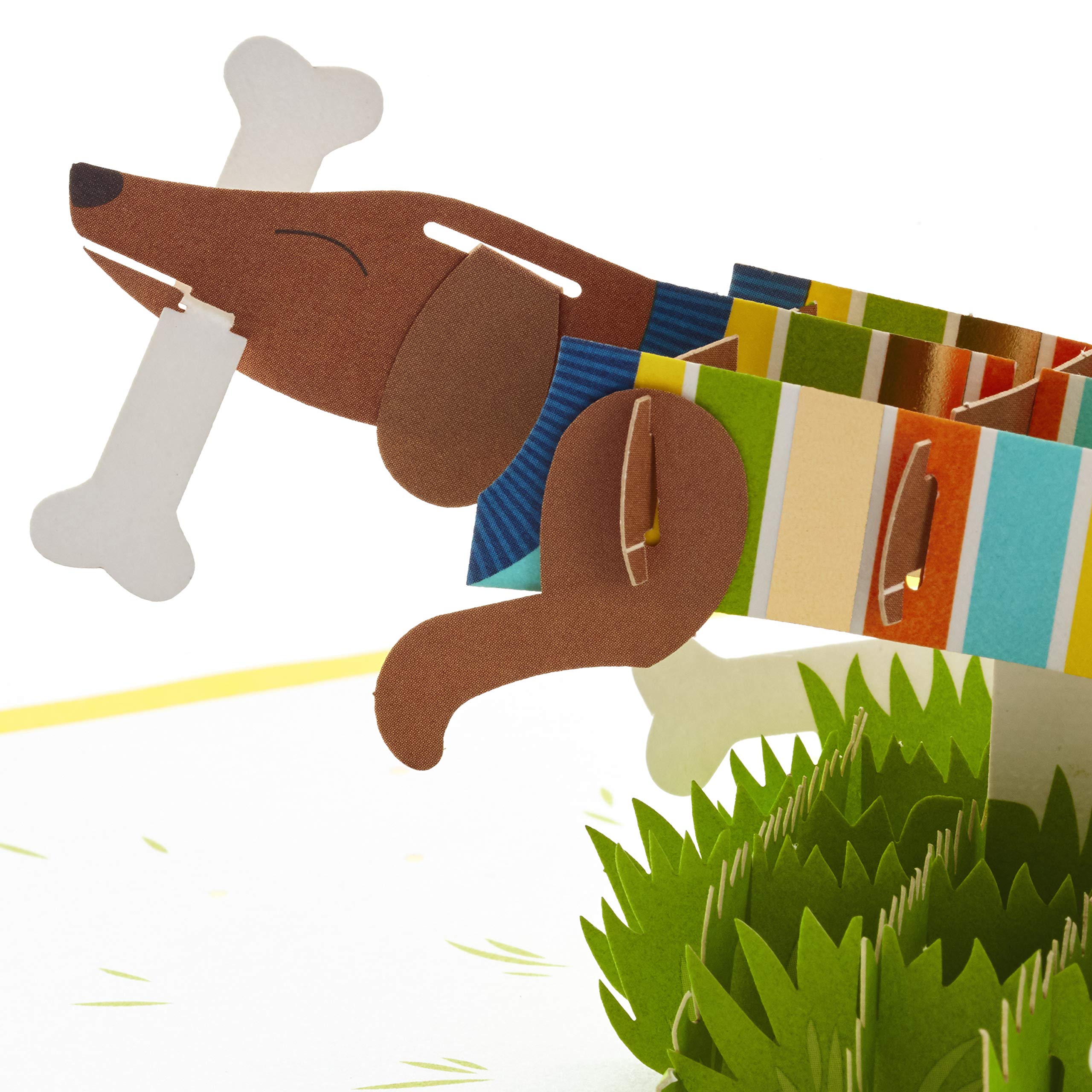 Hallmark Signature Paper Wonder Pop Up Birthday Card, Fathers Day Card (Dachshund, Happy All Day Long) (1299RZH1143)