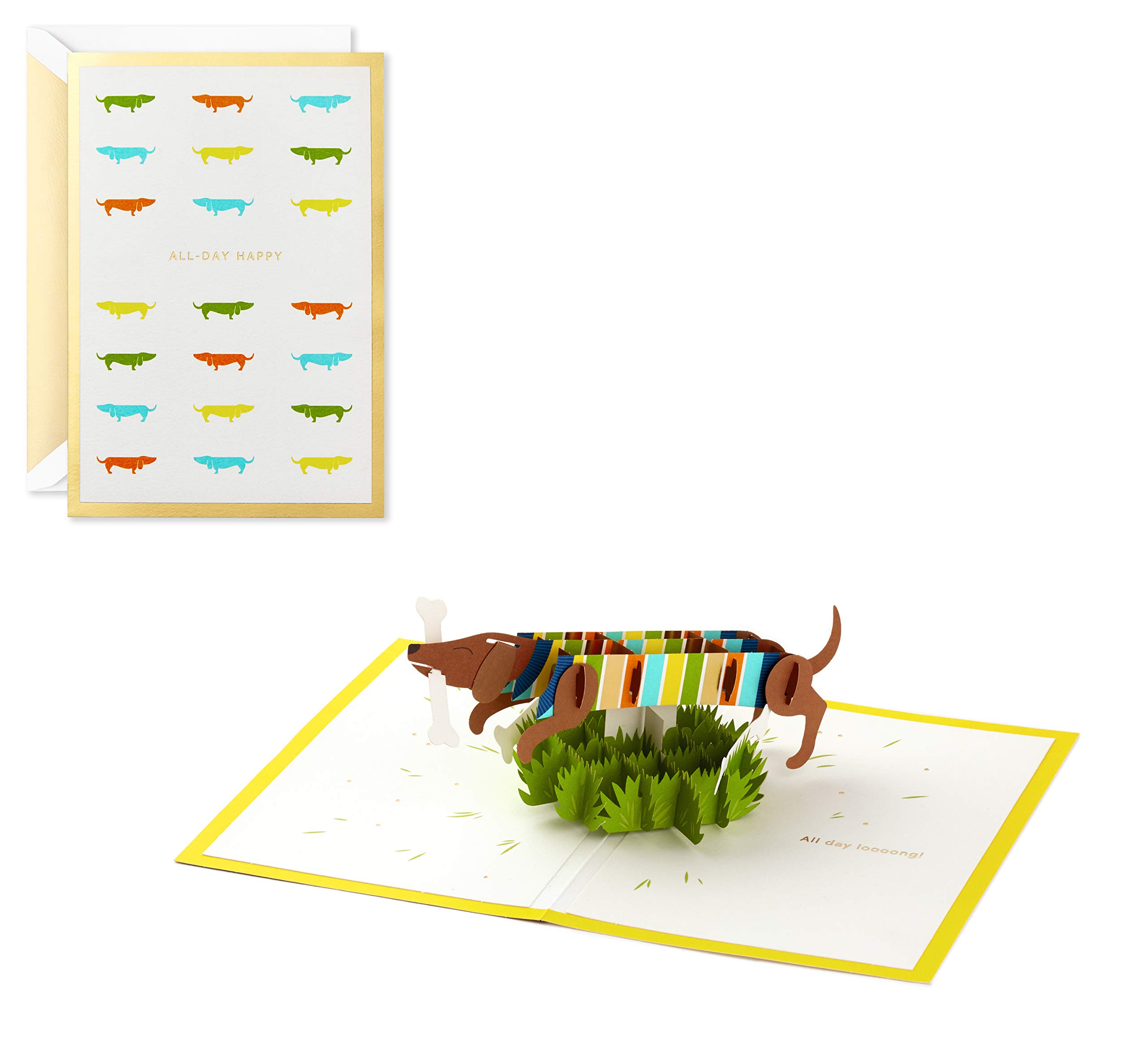Hallmark Signature Paper Wonder Pop Up Birthday Card, Fathers Day Card (Dachshund, Happy All Day Long) (1299RZH1143)