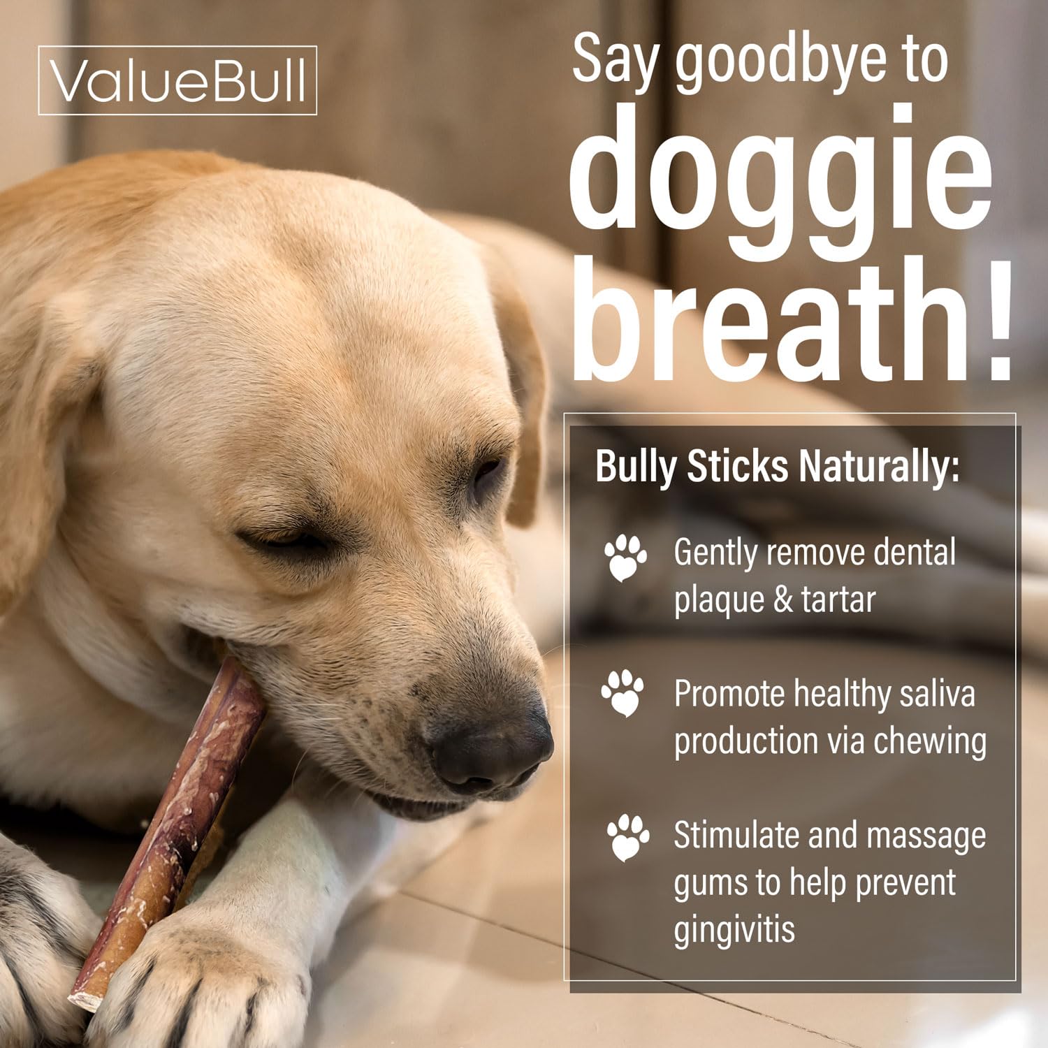 ValueBull Bully Sticks for Dogs, Medium 12 Inch, 50 Count - All Natural Dog Treats, 100% Beef Pizzles, Single Ingredient Rawhide Alternative