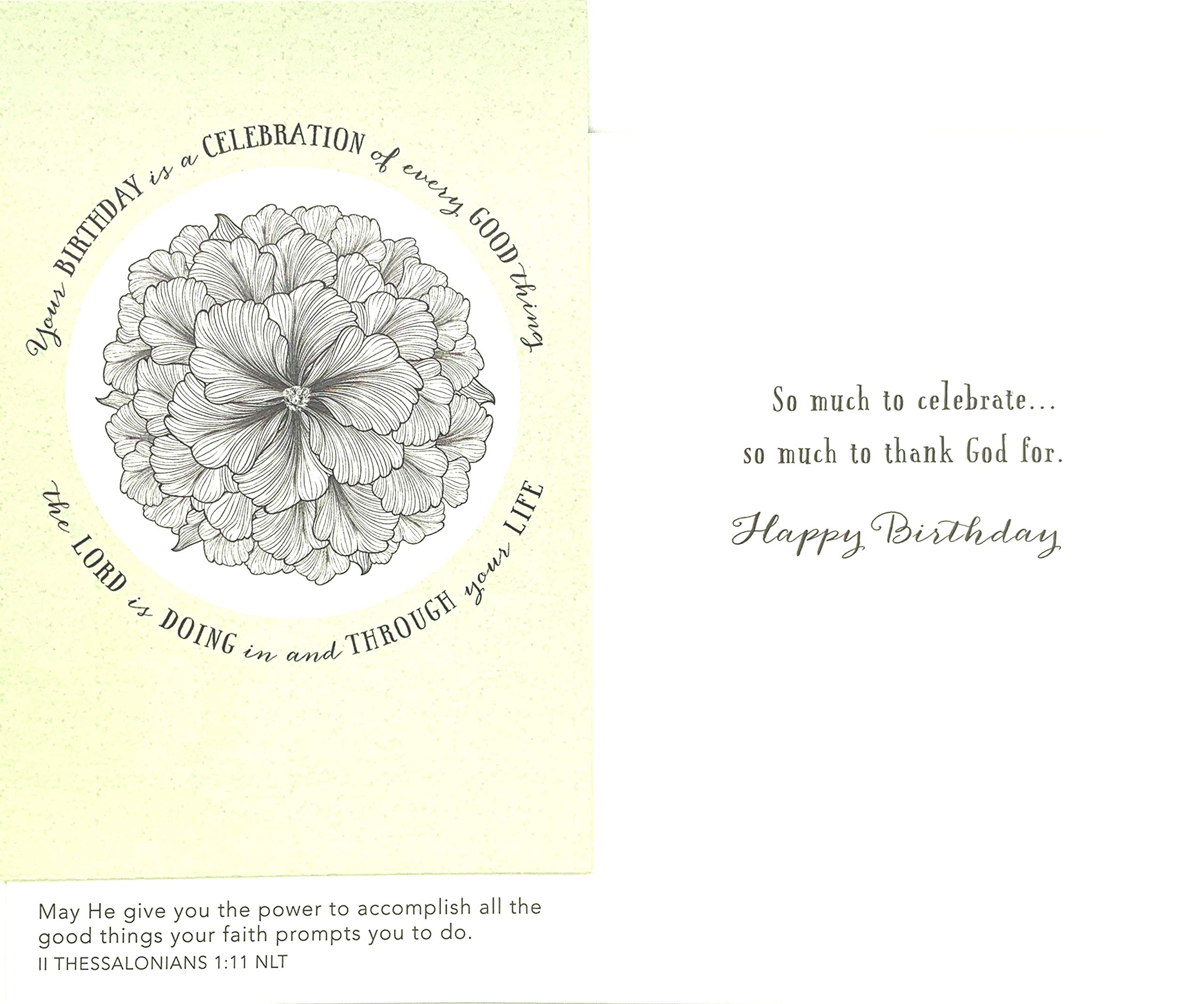 DaySpring - Black & White Birthday Botanicals - 4 Design Assortment with Scripture - 12 Boxed Cards & Envelopes (J0384)