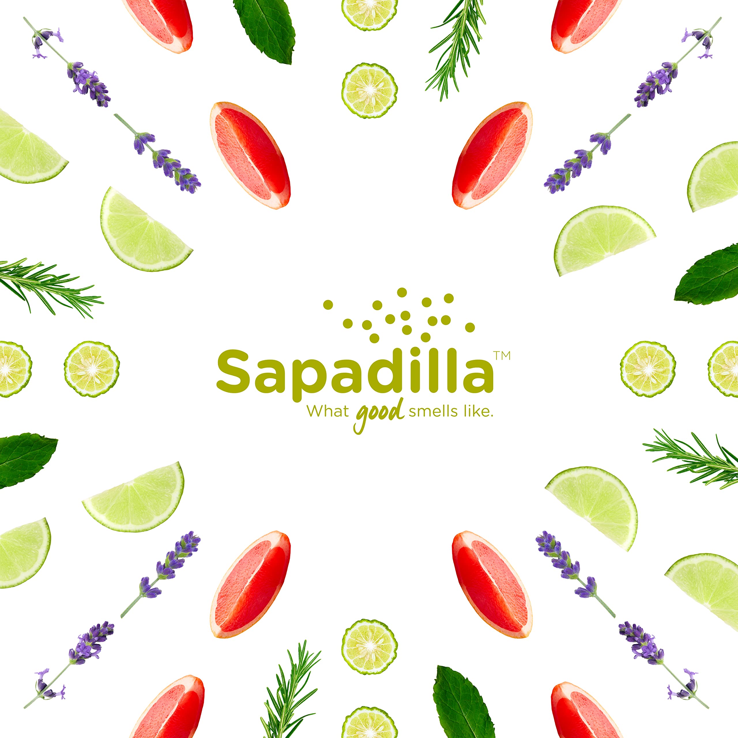 Sapadilla Liquid Dish Soap - Sweet Lavender + Lime - Made with 100% Pure Essential Oil Blends, Tough on Grease, Aromatic & Fragrant Dishwashing Liquid, Plant Based, Biodegradable, 12 Ounce (Pack of 1)