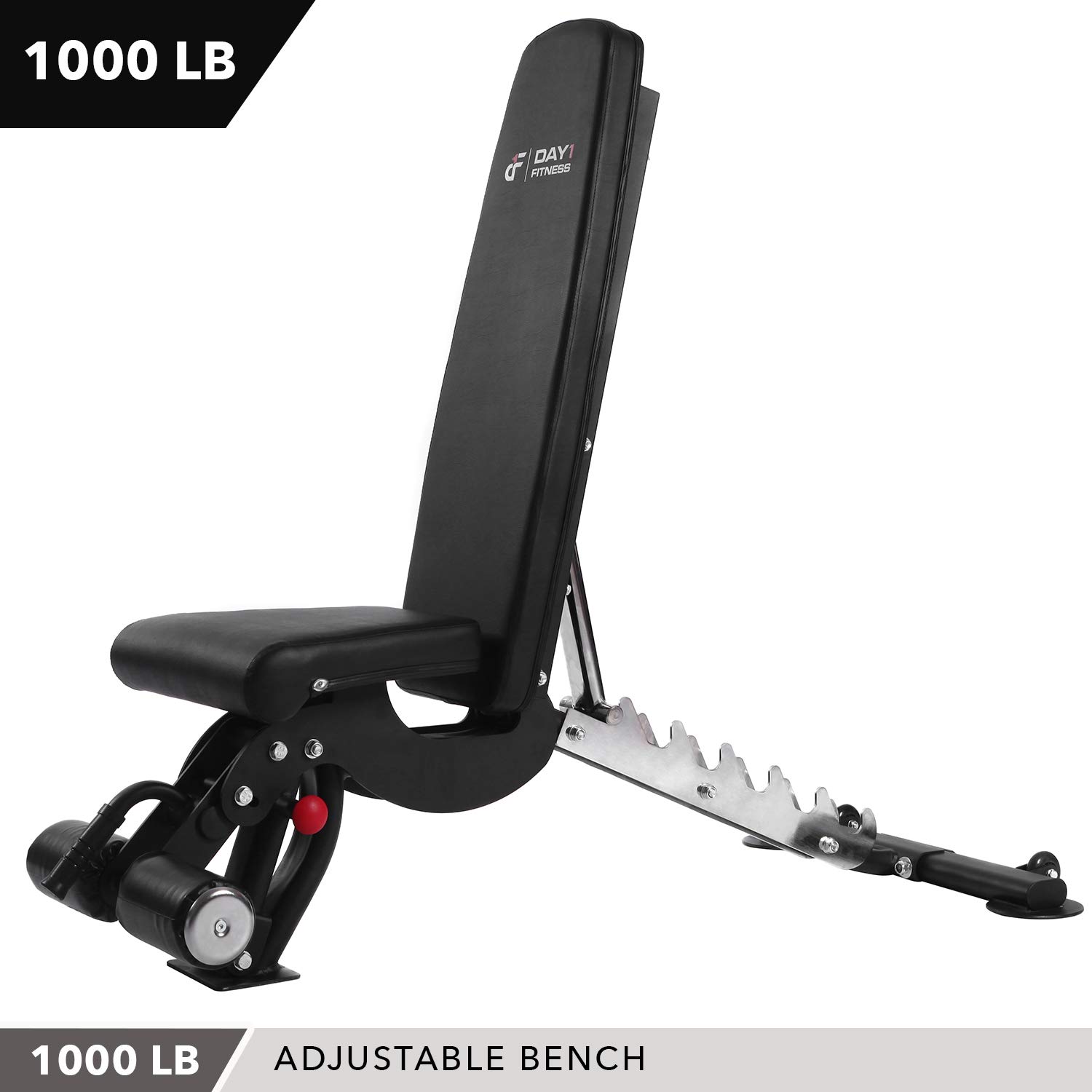 DAY1 FITNESS Adjustable Weight Bench, 1000 lb by D1F for Strength Training -Incline, Decline, Flat Workout Benches for Lifting, Flies, Chest Press, Dips -Utility Equipment for Personal, Commercial Gym