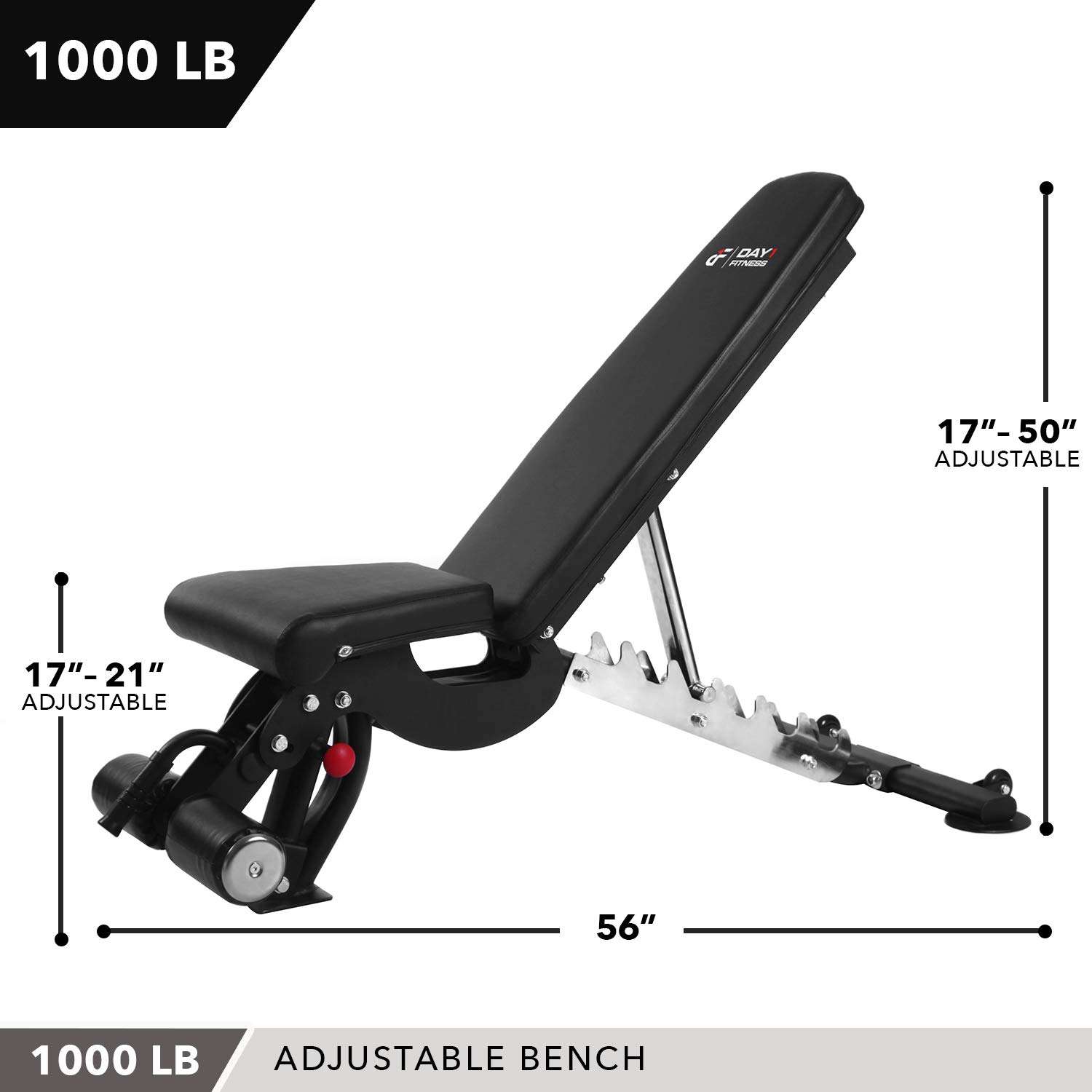DAY1 FITNESS Adjustable Weight Bench, 1000 lb by D1F for Strength Training -Incline, Decline, Flat Workout Benches for Lifting, Flies, Chest Press, Dips -Utility Equipment for Personal, Commercial Gym