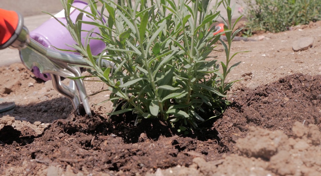 Garden Weasel Tiller – Till & Cultivate with Ease! – Features Dependable Aluminiron Construction, Non-Slip Comfort Grip, Two-Sided Prongs
