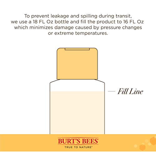 Burt's Bees for Pets Dogs Natural Itch Soothing Shampoo with Honeysuckle | Anti-Itch Dog Shampoo, 16 Ounces - 6 Pack (FF7266CP6)