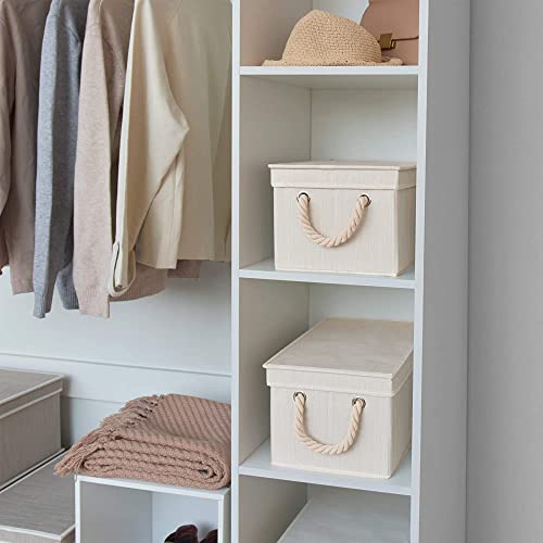 StorageWorks 4 Section Hanging Closet Organizer with Garment Rod, Storage Box with Lid