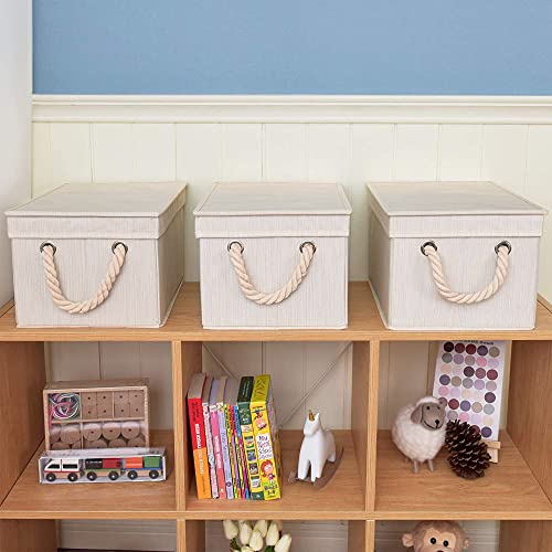 StorageWorks 4 Section Hanging Closet Organizer with Garment Rod, Storage Box with Lid