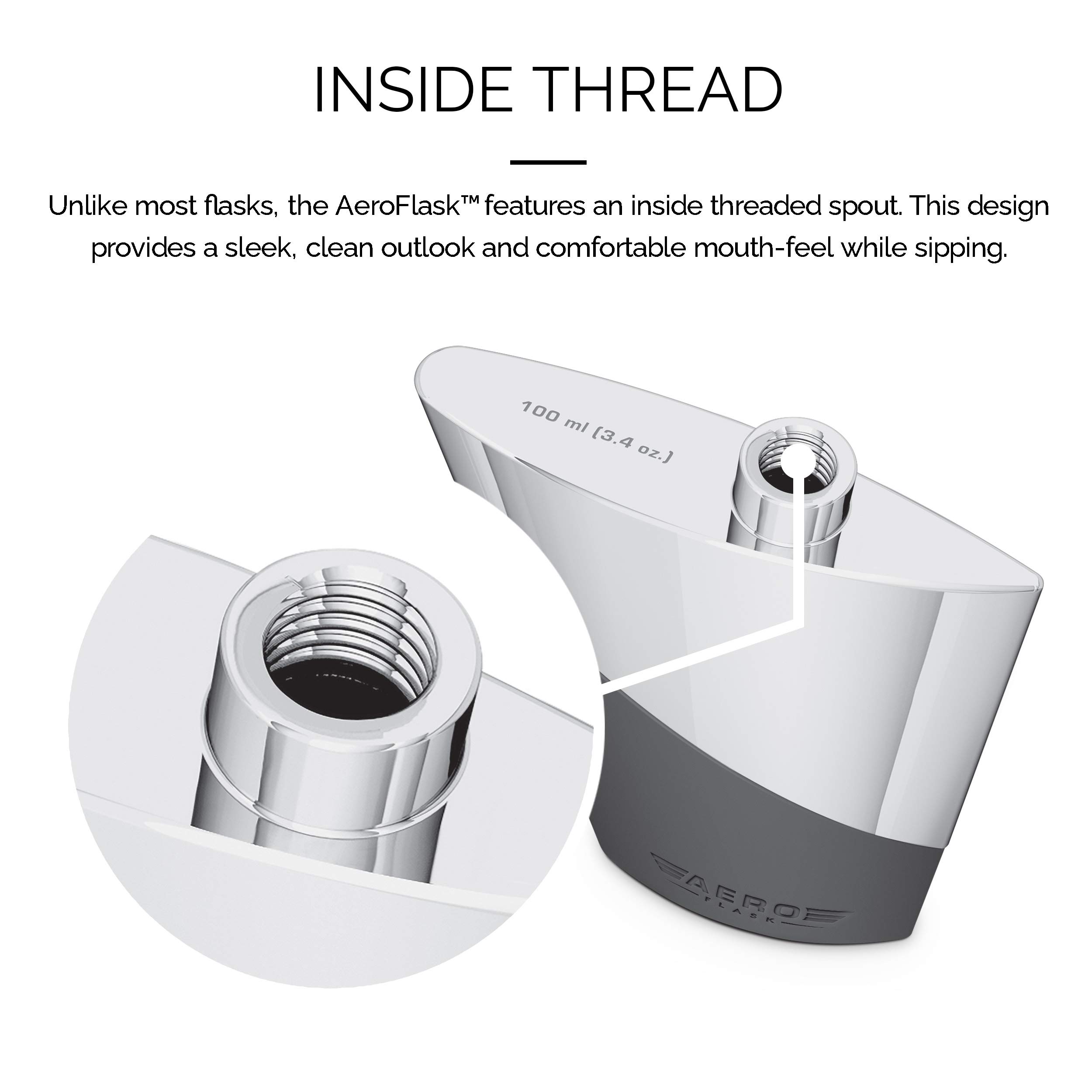Final Touch Aero Flask Travel Liquor Container - 3.4 oz 100ml Carry-On Flask with Built-in Funnel - Aerodynamic Design Inspired by Airplane Wings - Stainless Steel - Comfortable for Pocket (FTA1820)
