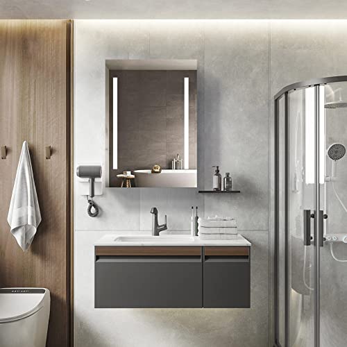 Seenvlog Bathroom Medicine Cabinet with Lights, LED Mirror Medicine Cabinet, Defogger, Dimmer, Memory Function, 20" x 28" Lighted Medicine Cabinet, Surface Mount