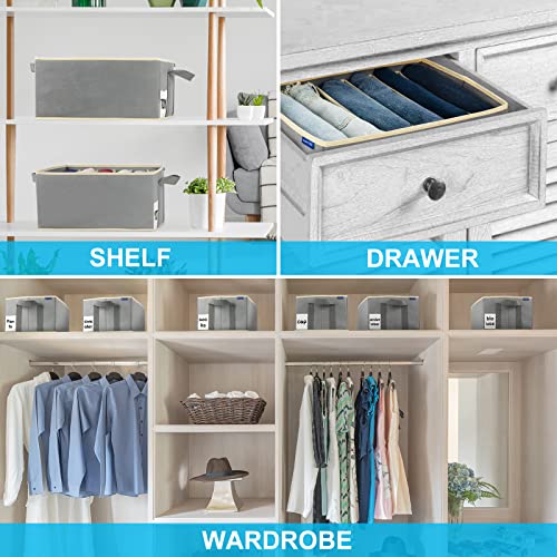 roomtalk Wardrobe Clothes Organizer for Jeans & Pants 6-Grids, Clothes Organizer for Folded Clothes with Double Handles & Label Pocket, 11.8" W x 16.5" D x 7.9" H, 2 Pack Grey.