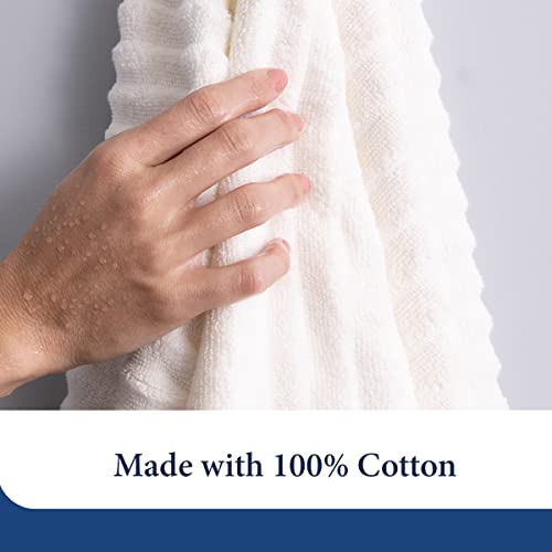 Cosy House Collection 2-Pack Classic Cotton Hand Towel Set - Ultra Soft, Absorbent & Quick Drying - Luxury 100% Cotton Plush Towel - for Bathroom, Shower & Kitchen (Hand Towel, White)