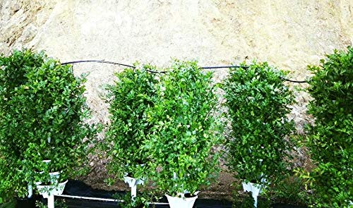 5-Tier Pink Strawberry and Herb Garden Planter - Stackable Gardening Pots with 10 Inch Saucer